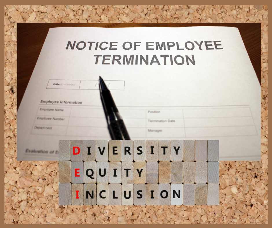 Chief Diversity Roles are Disappearing ⋆ The Bella Network LLC